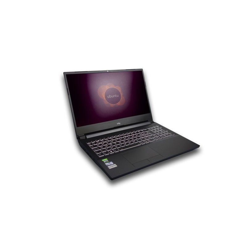 Portable why! Ryzen NH57ADS 15.6''